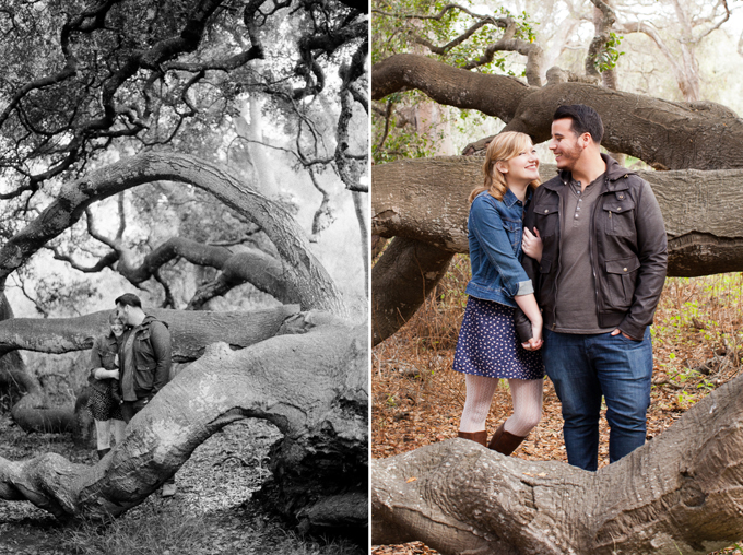 Oak Tree Engagement | Glamour & Grace