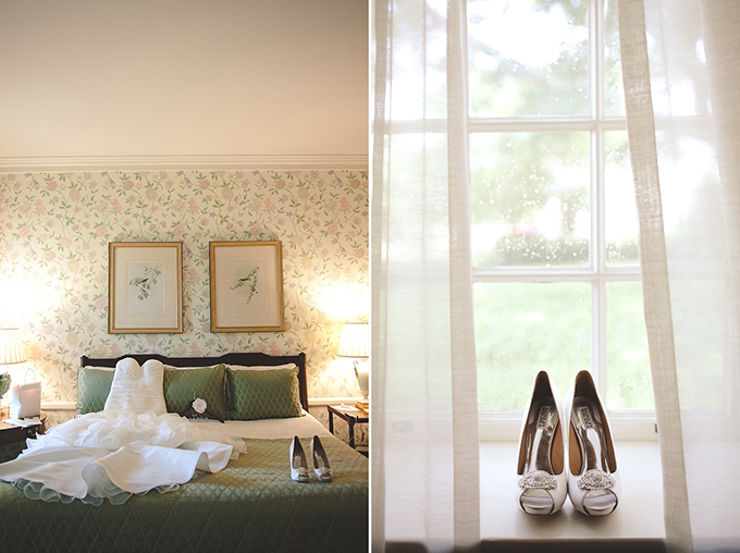Classic Toile Williamsburg Wedding | Glamour & Grace